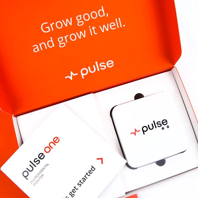 Buy Pulse One - Pulse